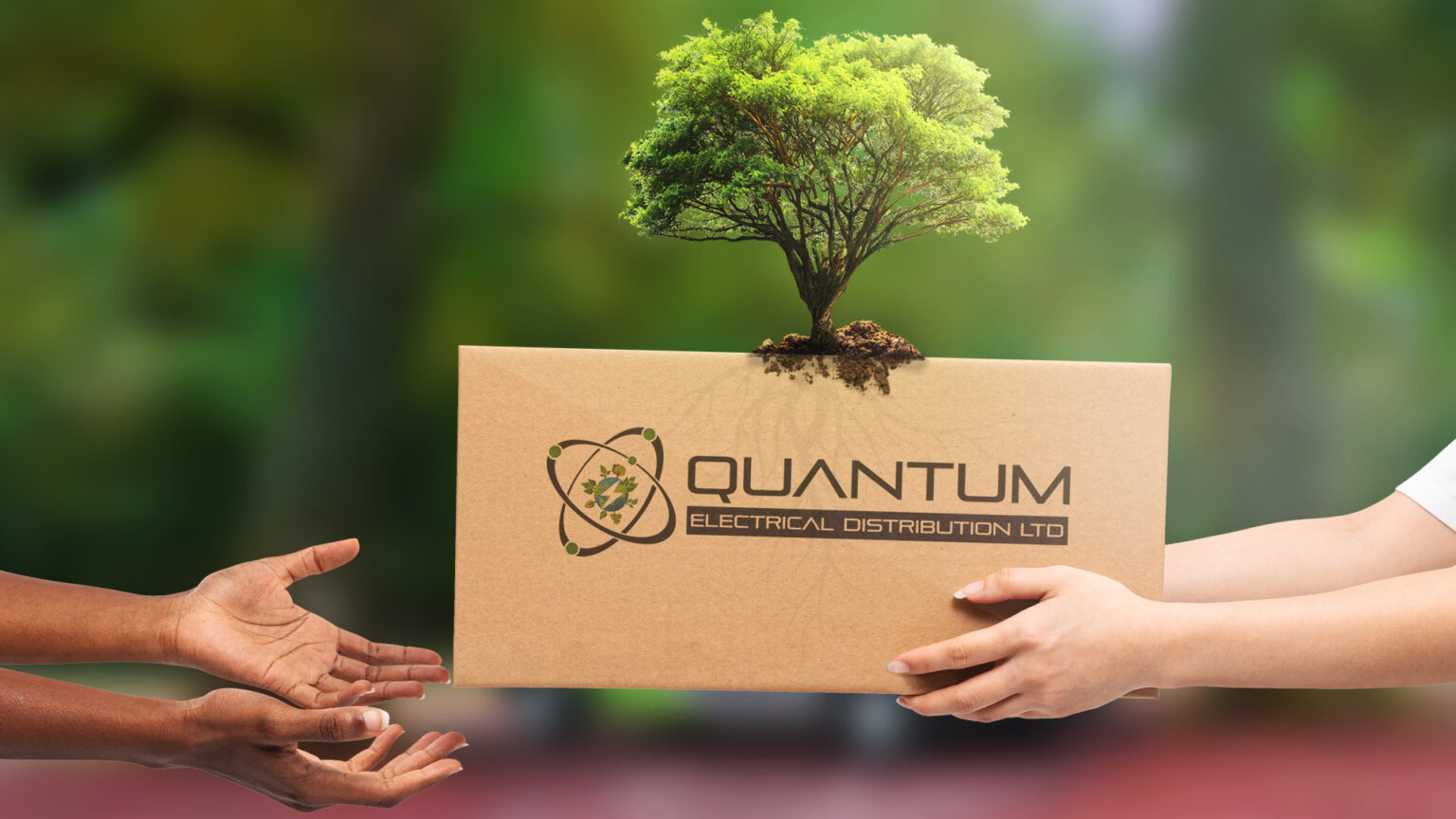 Home – Quantum Electrical Distribution