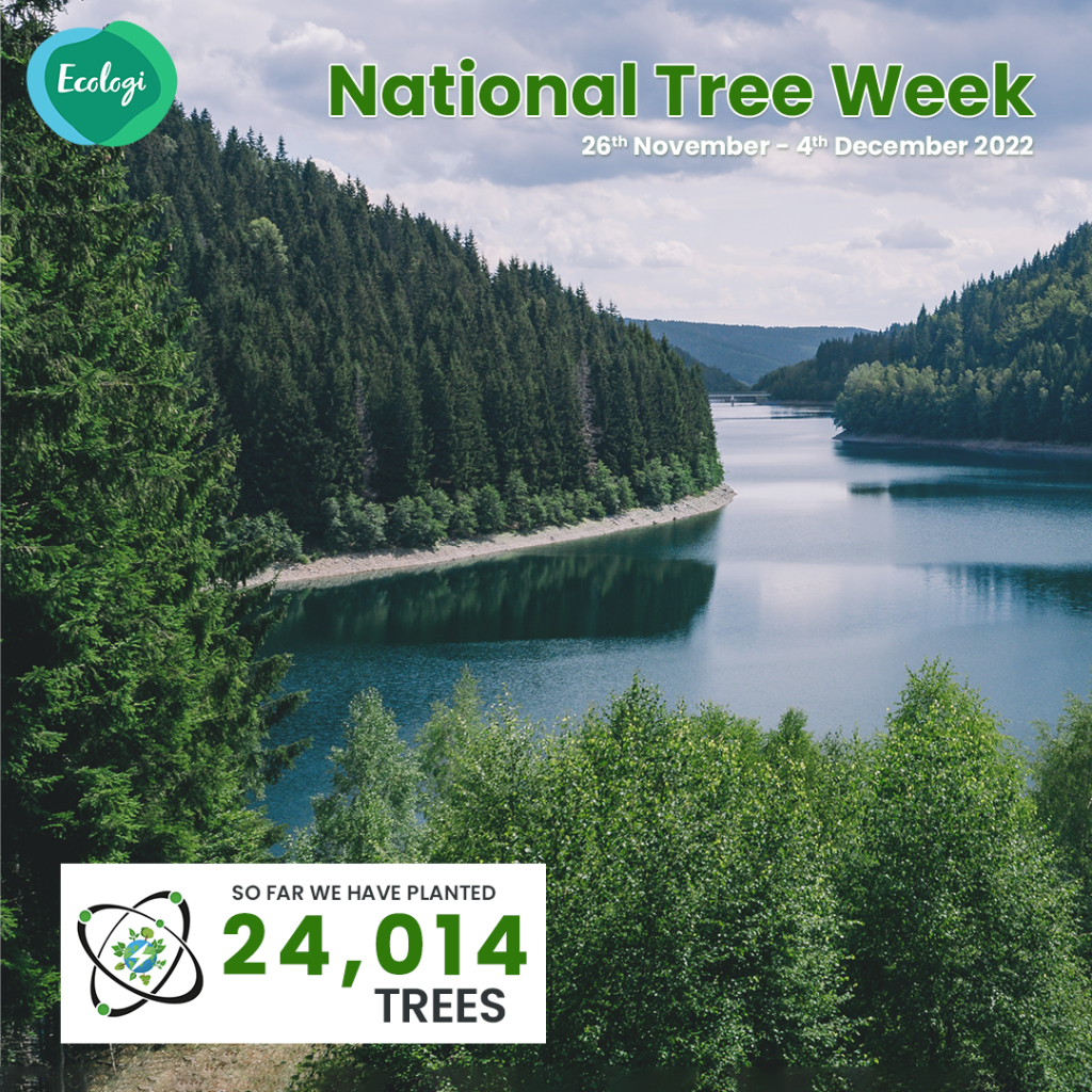 National 'Tree Planting Week' | Quantum’s Tree Planting Initiative with ...